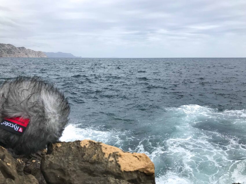 5 Quick Tips for Recording Wave Sounds